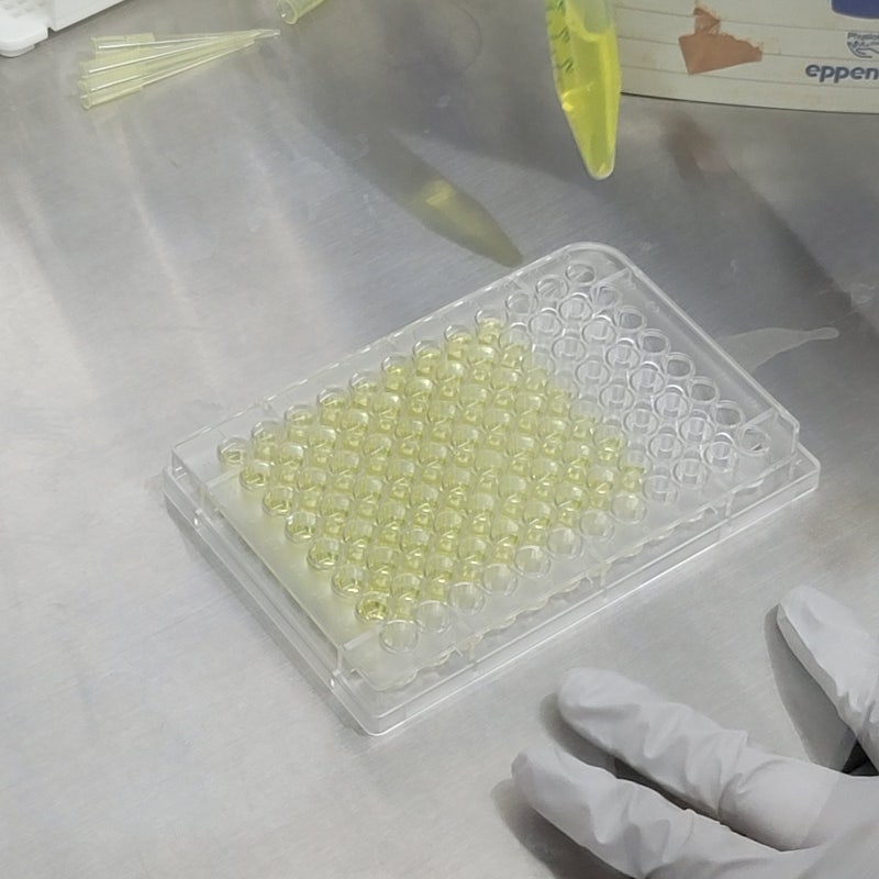 [LAB파토리 #3] 세포 독성 Test / MTT Assay : 네이버 블로그