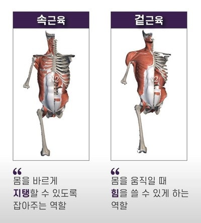 겉근육(Global Muscle)과 속근육(Local Muscle),그리고 코어(Core Muscle) : 네이버 블로그