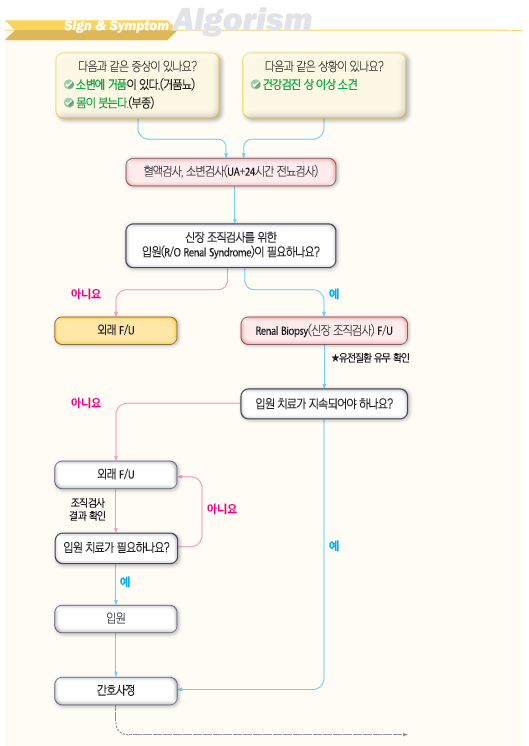간호알고리즘 신장내과편 신증후군 환자 간호사정 입원부터 퇴원까지 신증후군환자간호 증상 검사 네이버 블로그