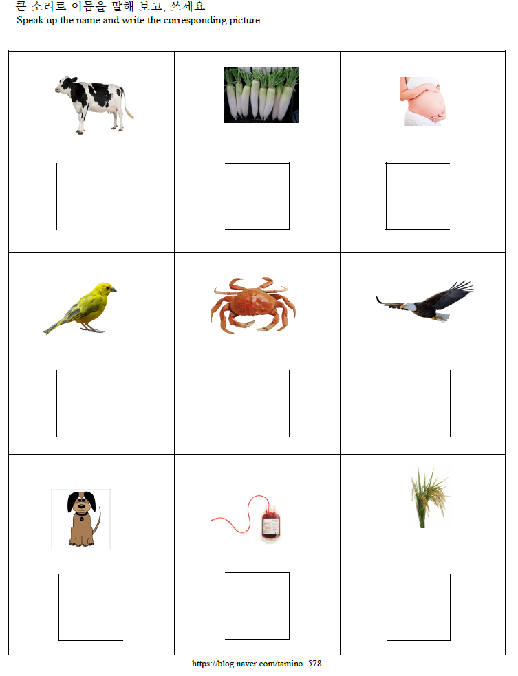 한 글자 단어 문제 풀이 받침 없는 한글자 단어single Words Without Final Consonants