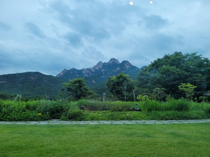 상반기 실적피드백과 함께한 알찬스피치(Allchan) : 네이버 블로그