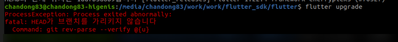 ProcessException: Process exited abnormally: fatal: HEAD가 브랜치를 가리키지 ...