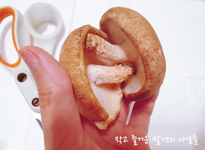 표고버섯 보관법 씻기 손질 방법 간단해요 네이버 블로그