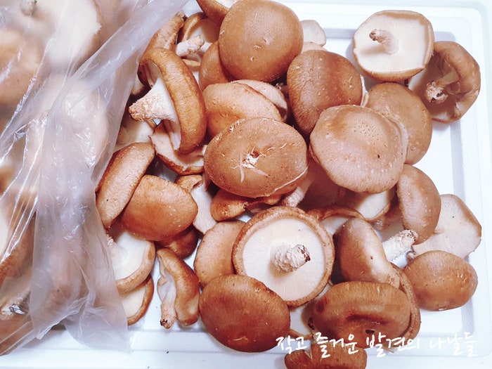 표고버섯 보관법 씻기 손질 방법 간단해요 네이버 블로그