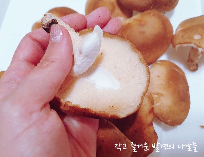 표고버섯 보관법 씻기 손질 방법 간단해요 네이버 블로그
