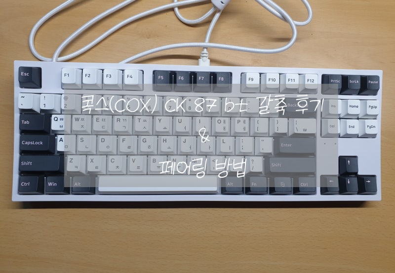 [리뷰리뷰] COX(콕스) ck87 bt 갈축 후기 및 페어링 방법 (무선기계식키보드추천) : 네이버 블로그