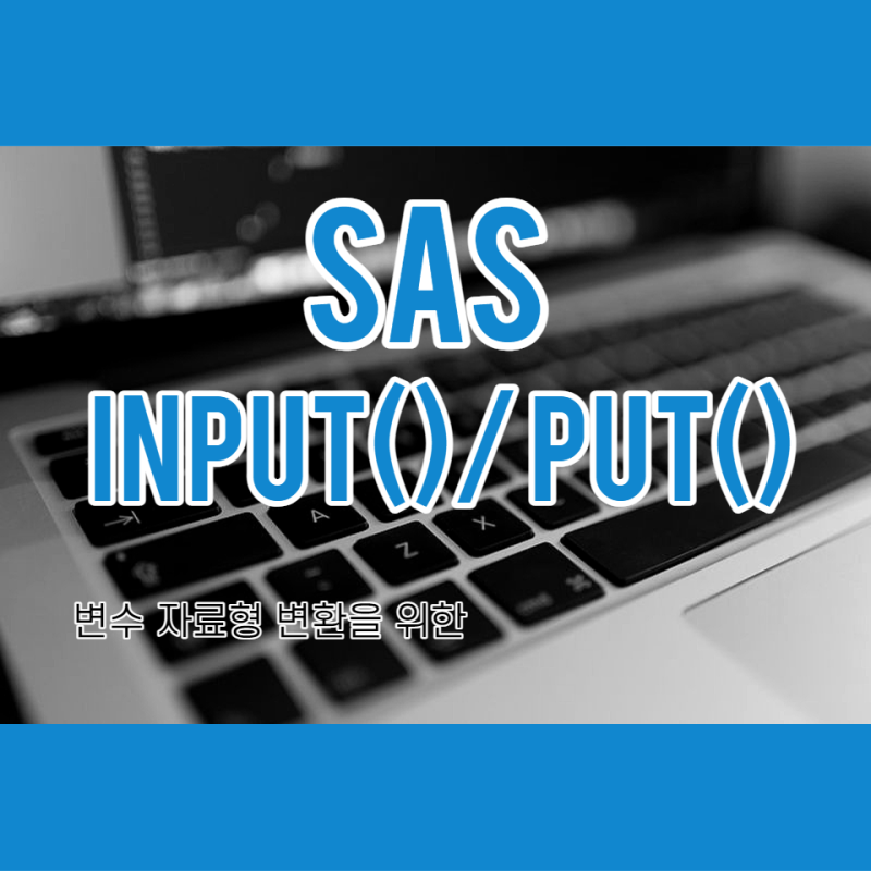 [SAS] 변수 자료형을 바꾸고 싶을 때는 (INPUT, PUT 함수) : 네이버 블로그