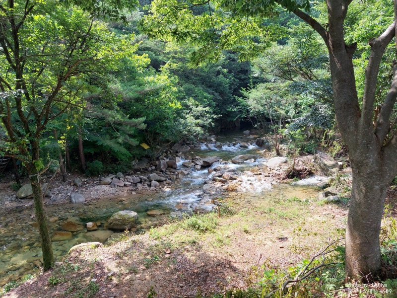 문경 대야산 등산코스 용추계곡~월영대~밀재~정상~피아골 네이버 블로그