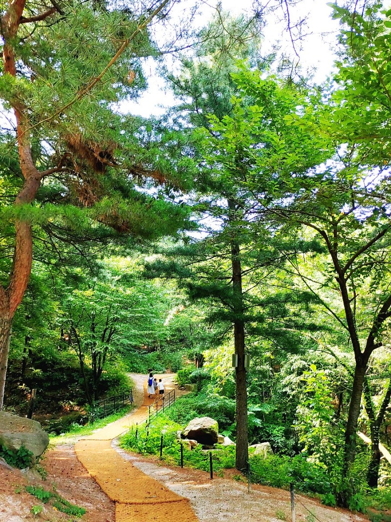 남양주 근교 나들이 산들소리 수목원 아이와 함께 가 볼만한 곳 네이버 블로그