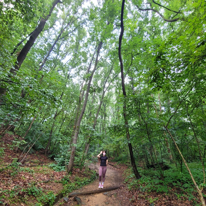 주말등산 송파구 초보등산스팟 구룡산 등산일기 네이버 블로그