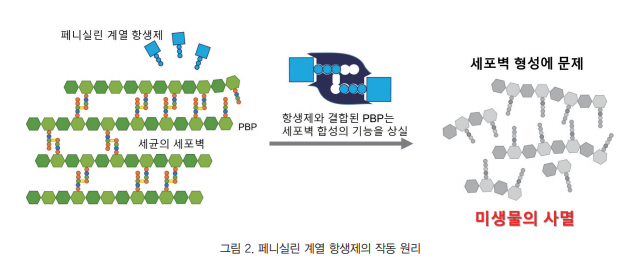 페니실린계 항생제 효능 효과 주의사항 부작용 알아봐요넥모클린듀오시럽 넥모클린정 아목시실린 등 네이버 블로그