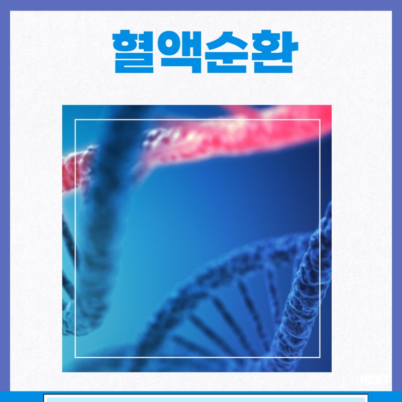 하체 다리 혈액순환 안될때 증상 좋은 음식 운동 네이버 블로그