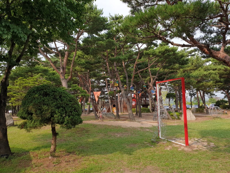 디럭스 키즈마이카 객실 리뷰 네이버 블로그