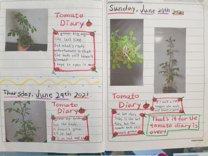 [수원 장안] My Tomato Diary 이벤트 종료 후기! : 네이버 블로그