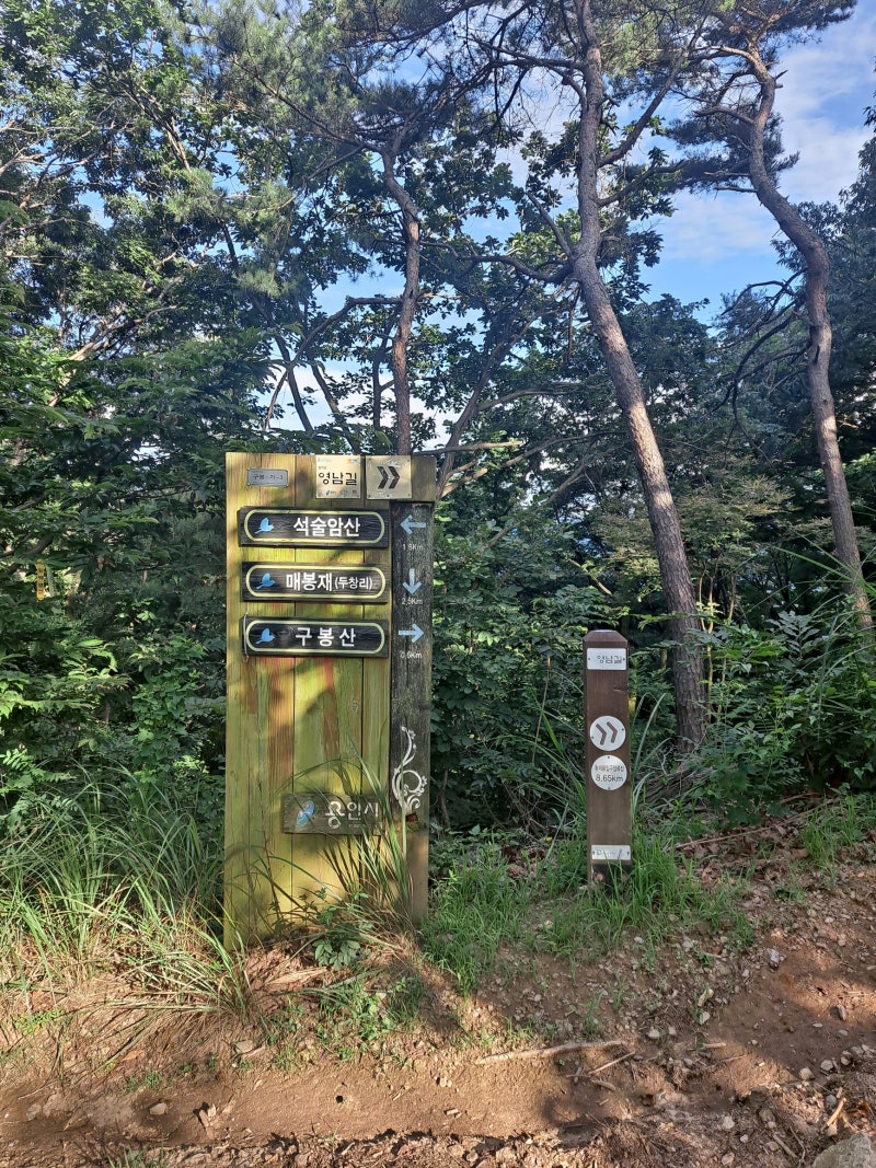 한남정맥 2 1 구간 구봉산 등산 코스 및 탐방기 네이버 블로그