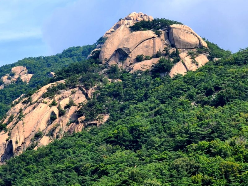 산 : 네이버 블로그