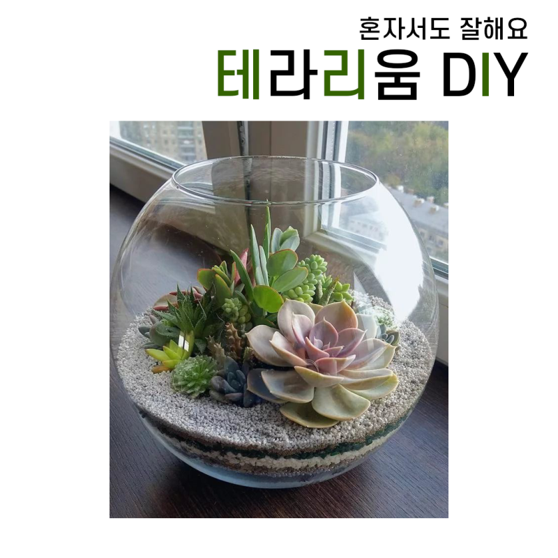 테라리움만들기 이렇게 쉬웠다니 테라리움재료 테라리움식물 테라리움만들기순서 어렵다면 테라리움키트로 간편하게 네이버 블로그