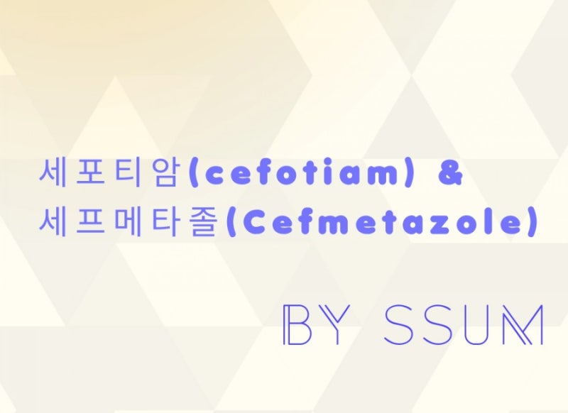 세포티암(Cefotiam) & 세프메타졸(Cefmetazole) : 네이버 블로그