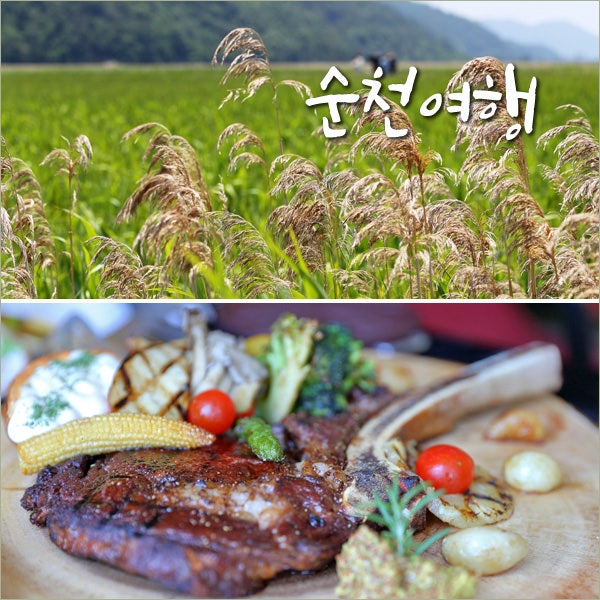 순천 가볼만한곳 순천만 습지 갈대밭 등 국내 여름여행지 추천 네이버 블로그