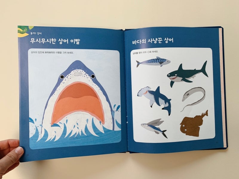 영유아 자연관찰 전집 비교 아람 자연이랑 Vs 그레이트북스 놀라운 자연 네이버 블로그