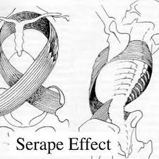 (투구폼) STEP-57 세라페 효과(Serape effect)와 피칭 메카닉(Pitching Mechanic)의 관계에 대해 ...