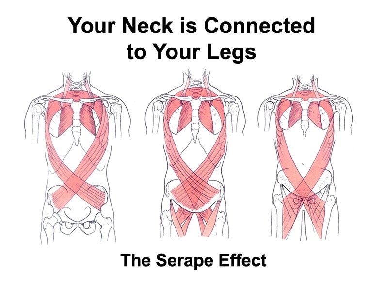 (투구폼) STEP-57 세라페 효과(Serape effect)와 피칭 메카닉(Pitching Mechanic)의 관계에 대해 ...