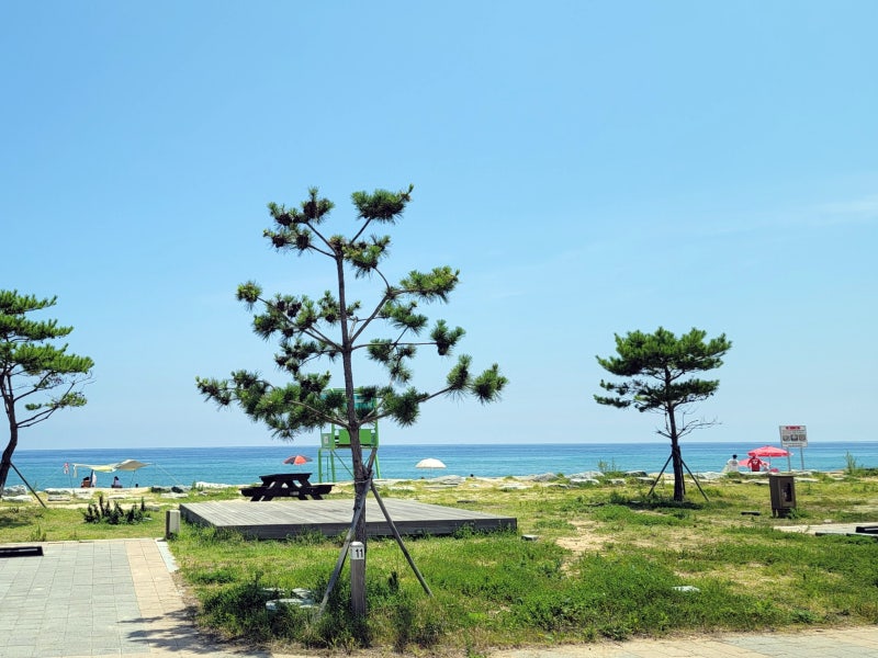 고성 명파오토캠핑장 및 명파해수욕장 1박2일 한적하고 깨끗해서 아이들과 함께 하기 좋은곳 네이버 블로그