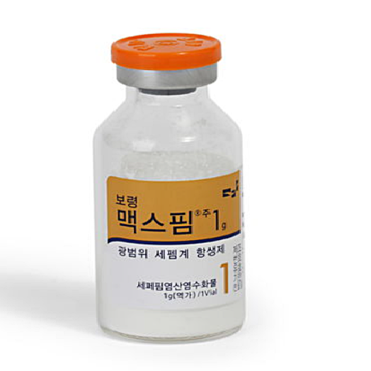 세팔로스포린계/Cephalosporin계/cephem계 항생제 : 네이버 블로그