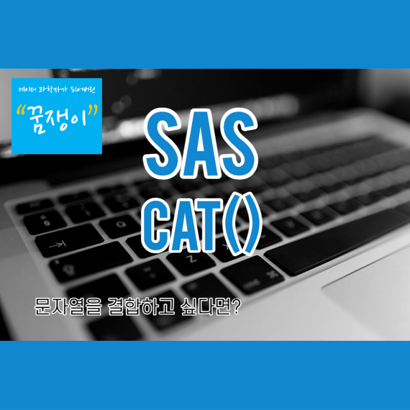 [SAS] 문자열을 연결하고 싶다면? (CAT, CATT, CATS, CATX 함수) : 네이버 블로그