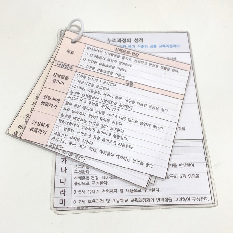 유치원 임용고시 자료 공유 2019 개정 누리과정 고시문 자료 공유 고시문 카드 만들기 고시문 암기 유아임용 준비