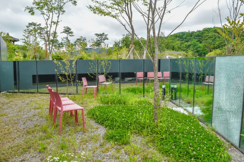 세종 산책하기 좋은 곳 무궁화테마공원 네이버 블로그