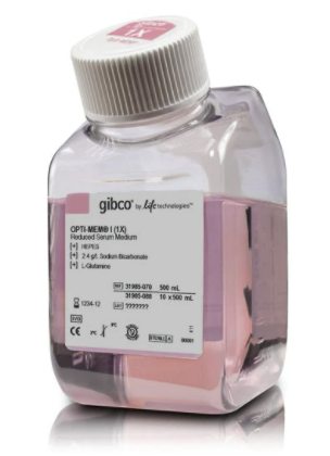 Gibco™ Opti-MEM™ I Reduced Serum Medium : 네이버 블로그