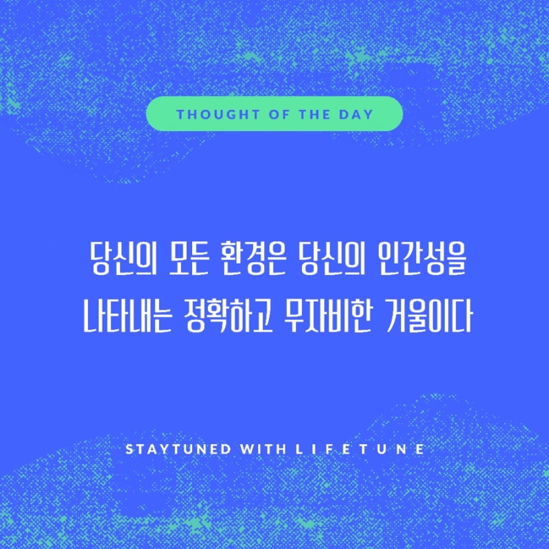 책 12가지 인생의 법칙 I 세상을 탓하기 전에 방부터 정리하라 조던피터슨 성공을 부르는 청소의 법칙 네이버 블로그