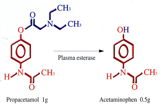 해열제, 진통제(데노간주, 파노간주, 파세타주, 프로세타주)에 대해서. : 네이버 블로그