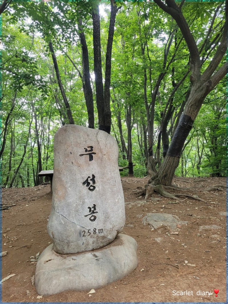 경기 군포 한남정맥 수리산 무성봉 최단 등산코스 네이버 블로그