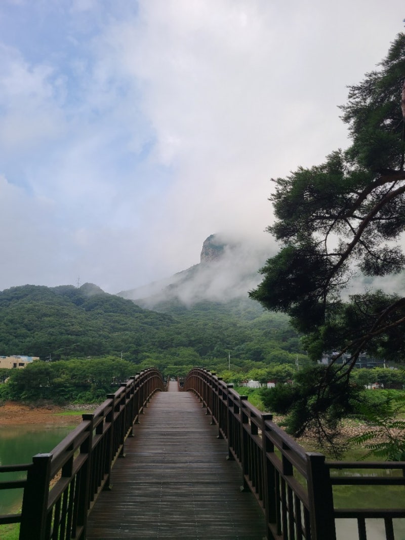 담양 가볼만한 곳 담양 용마루길 산책추월산주차장~전망대~연리지~용마루길 종점~원점 네이버 블로그