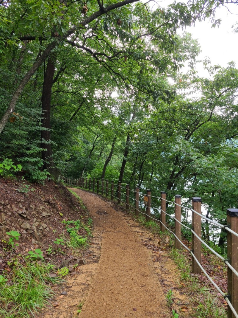 담양 가볼만한 곳 담양 용마루길 산책추월산주차장~전망대~연리지~용마루길 종점~원점 네이버 블로그