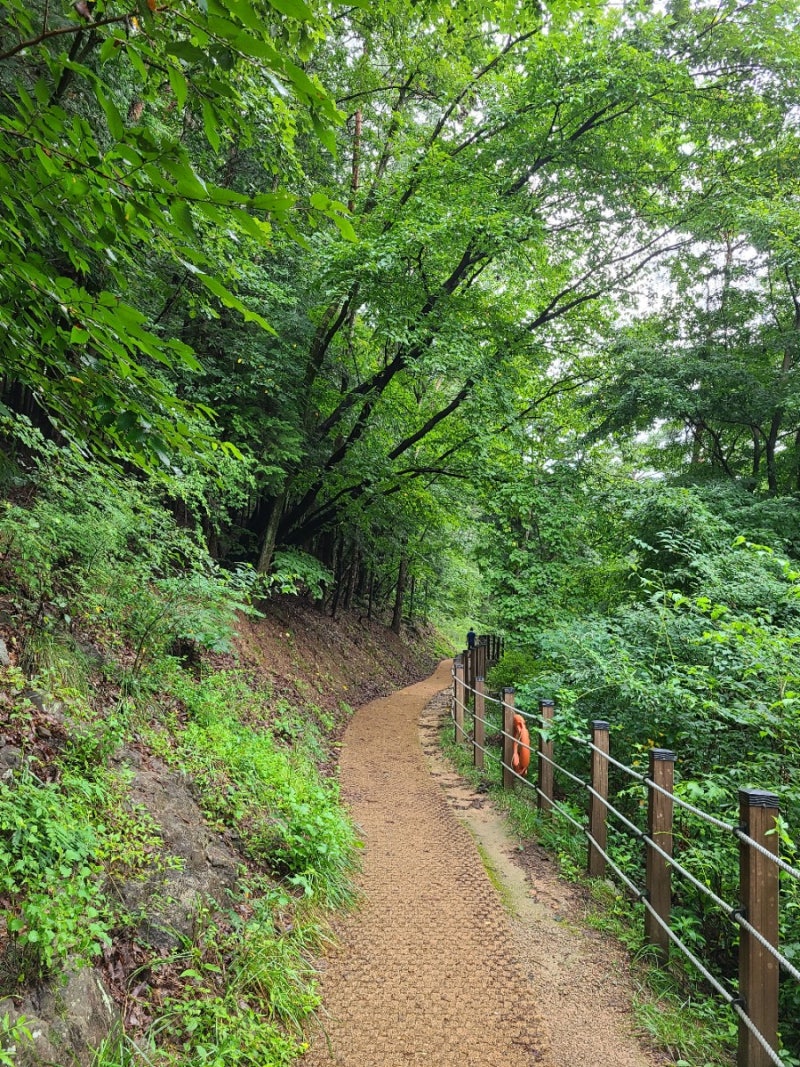 담양 가볼만한 곳 담양 용마루길 산책추월산주차장~전망대~연리지~용마루길 종점~원점 네이버 블로그