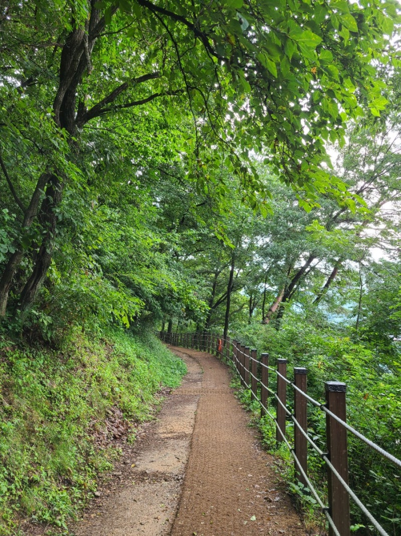 담양 가볼만한 곳 담양 용마루길 산책추월산주차장~전망대~연리지~용마루길 종점~원점 네이버 블로그