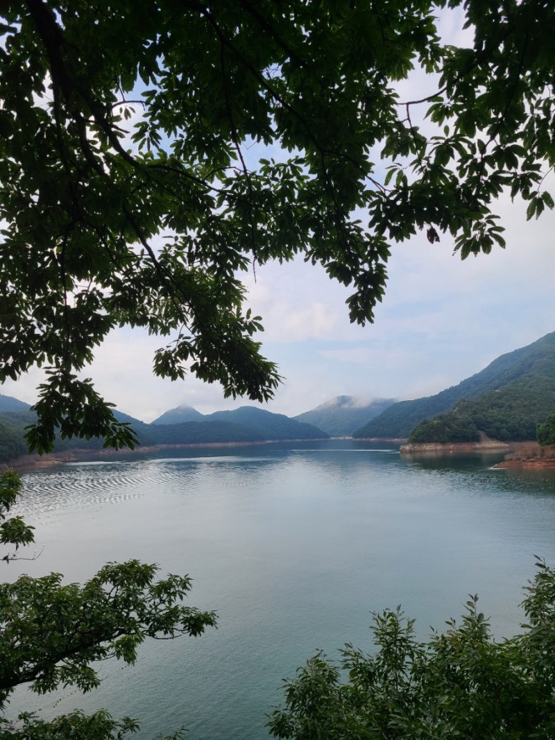담양 가볼만한 곳 담양 용마루길 산책추월산주차장~전망대~연리지~용마루길 종점~원점 네이버 블로그