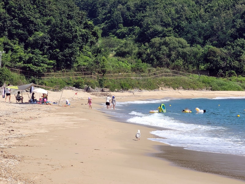 고성 명파오토캠핑장 및 명파해수욕장 1박2일 한적하고 깨끗해서 아이들과 함께 하기 좋은곳 네이버 블로그