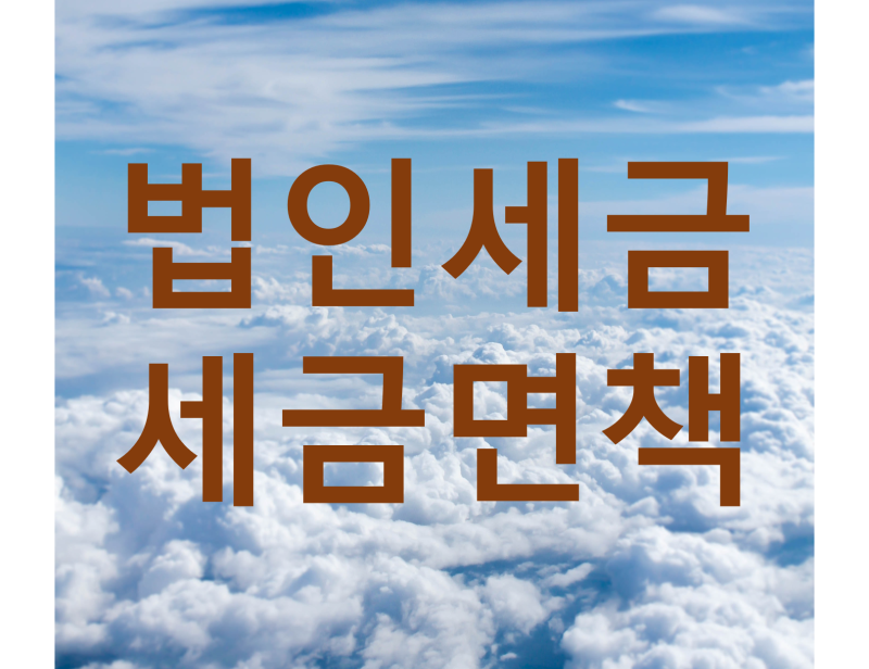 법인체납제2차납세의무자 법인세 체납 및 부가세체납으로 예금계좌 압류 세금면책건 네이버 블로그