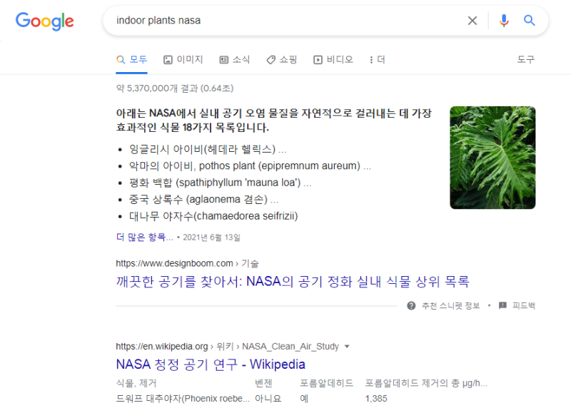 Nasa 실내공기정화식물 순위 중 아파트에서 키우기좋은 관엽식물종류 네이버 블로그