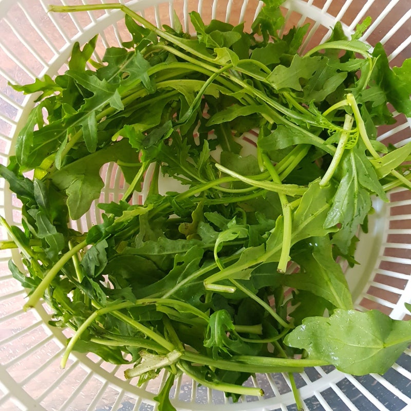 와일드 루콜라(Wild Rucola)에 대하여... : 네이버 블로그