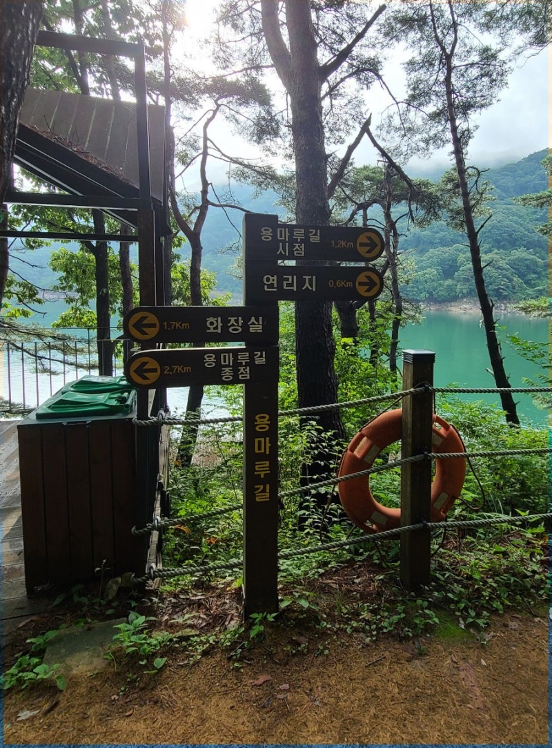 담양 가볼만한 곳 담양 용마루길 산책추월산주차장~전망대~연리지~용마루길 종점~원점 네이버 블로그