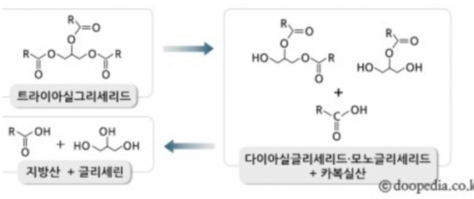 질병을 막아주는 효소의 기능 효소의 원리와 효소활성분석한국의과학연구원 미생물분석센터 네이버 블로그