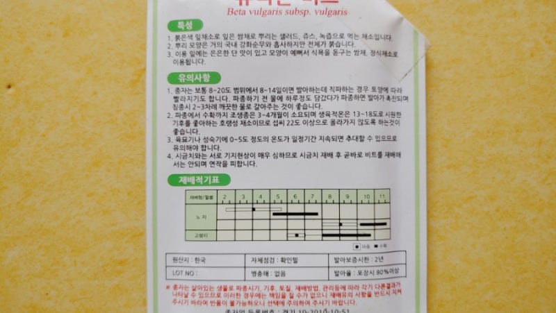 비트 심기 키우기 재배법 총정리 비트씨앗 파종시기 비트모종 심는시기 심는방법 가을 재배 네이버 블로그