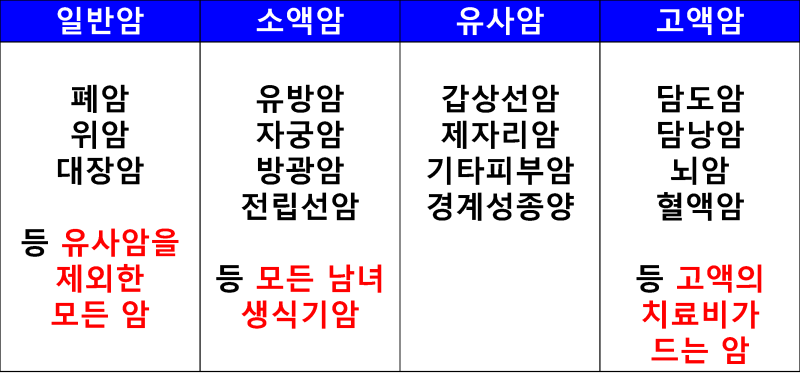 암보험가입시 모르면 안되는 일반암 소액암 고액암 유사암 종류 네이버 블로그