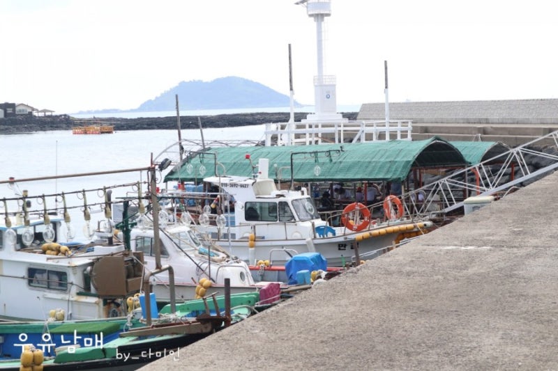 제주도 아이와 가볼만한곳 테우 낚시 체험 제주 올레바당체험마을 네이버 블로그