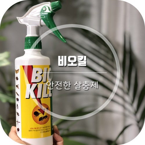 좀벌레 벼룩파리 화분 뿌리파리 등 약국전용 살충제 비오킬 사용법 네이버 블로그